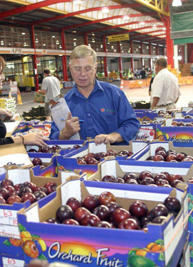 Our Team - Select Fresh